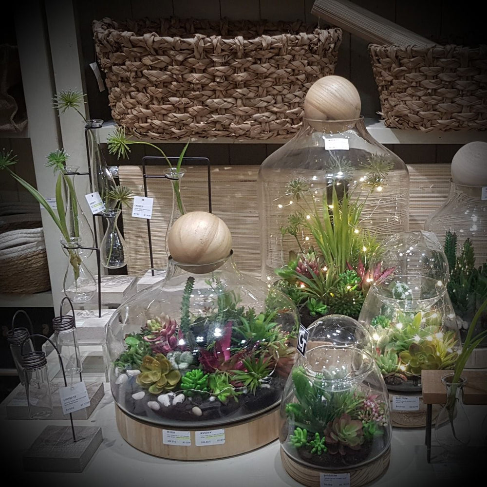 Highest Quality Terrariums at Best Prices - Terrarium Laboratory