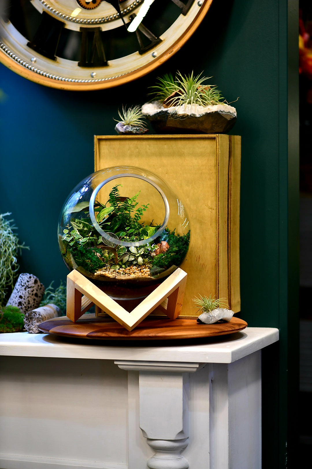 Shop Ready-made Terrariums/DIY Kits - Terrarium Laboratory