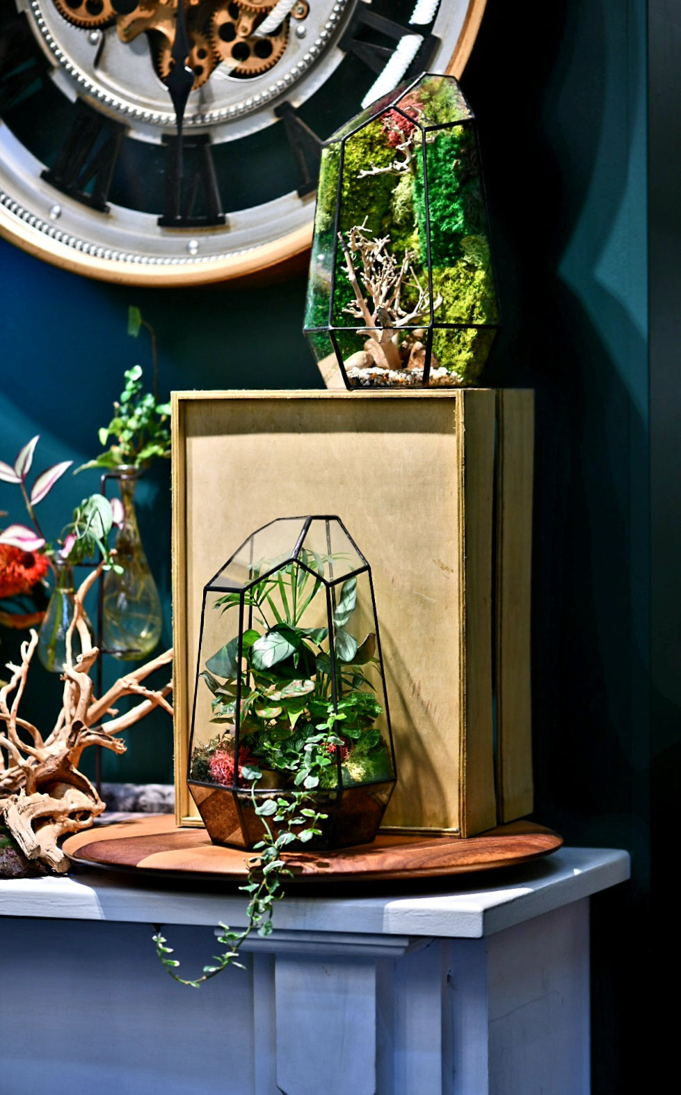 Beautiful Eternal Gold Geo Terrariums - Terrarium Laboratory